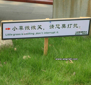 Ready for your trim, grass?